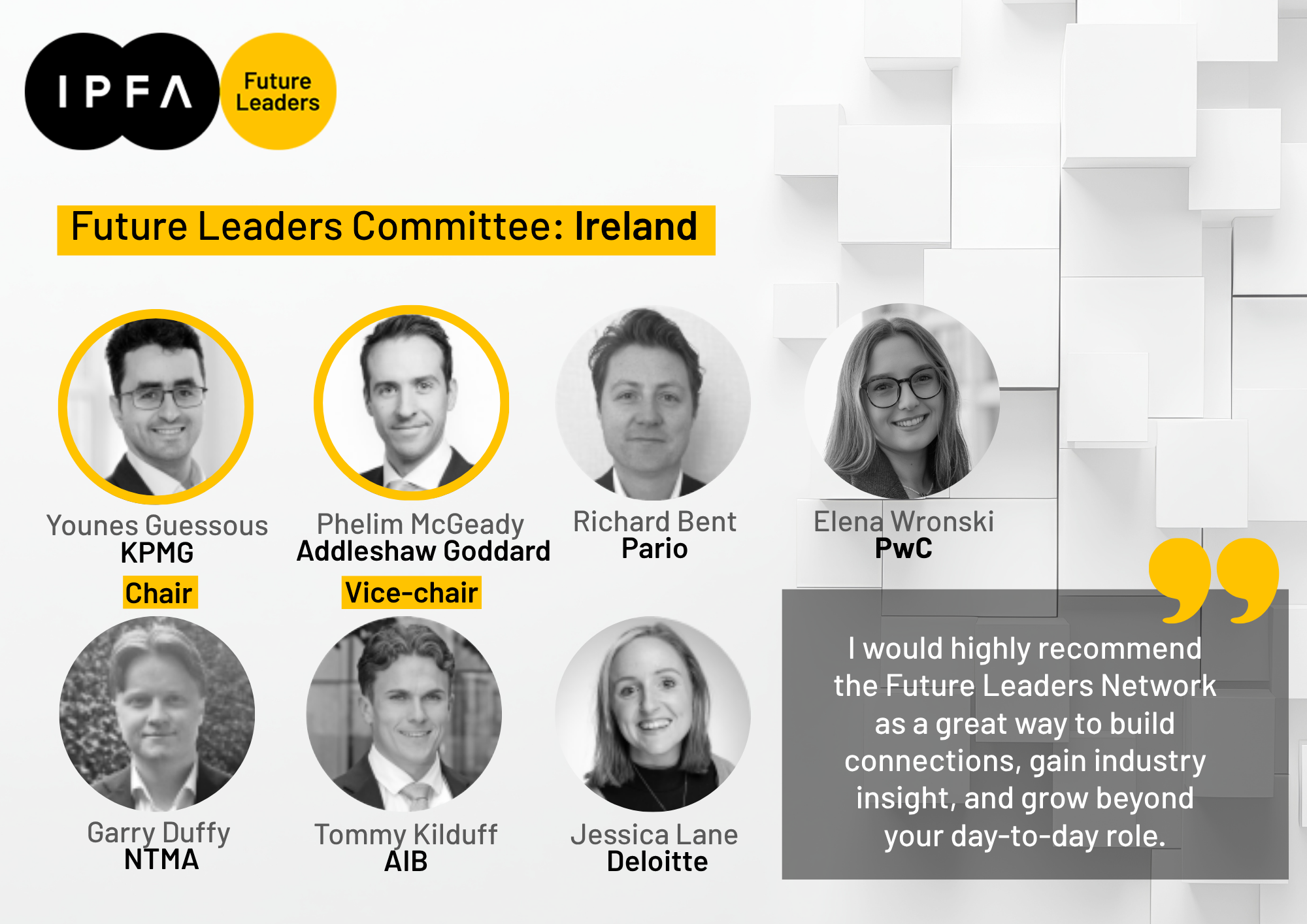 New Ireland Future Leaders Committee Member from PwC