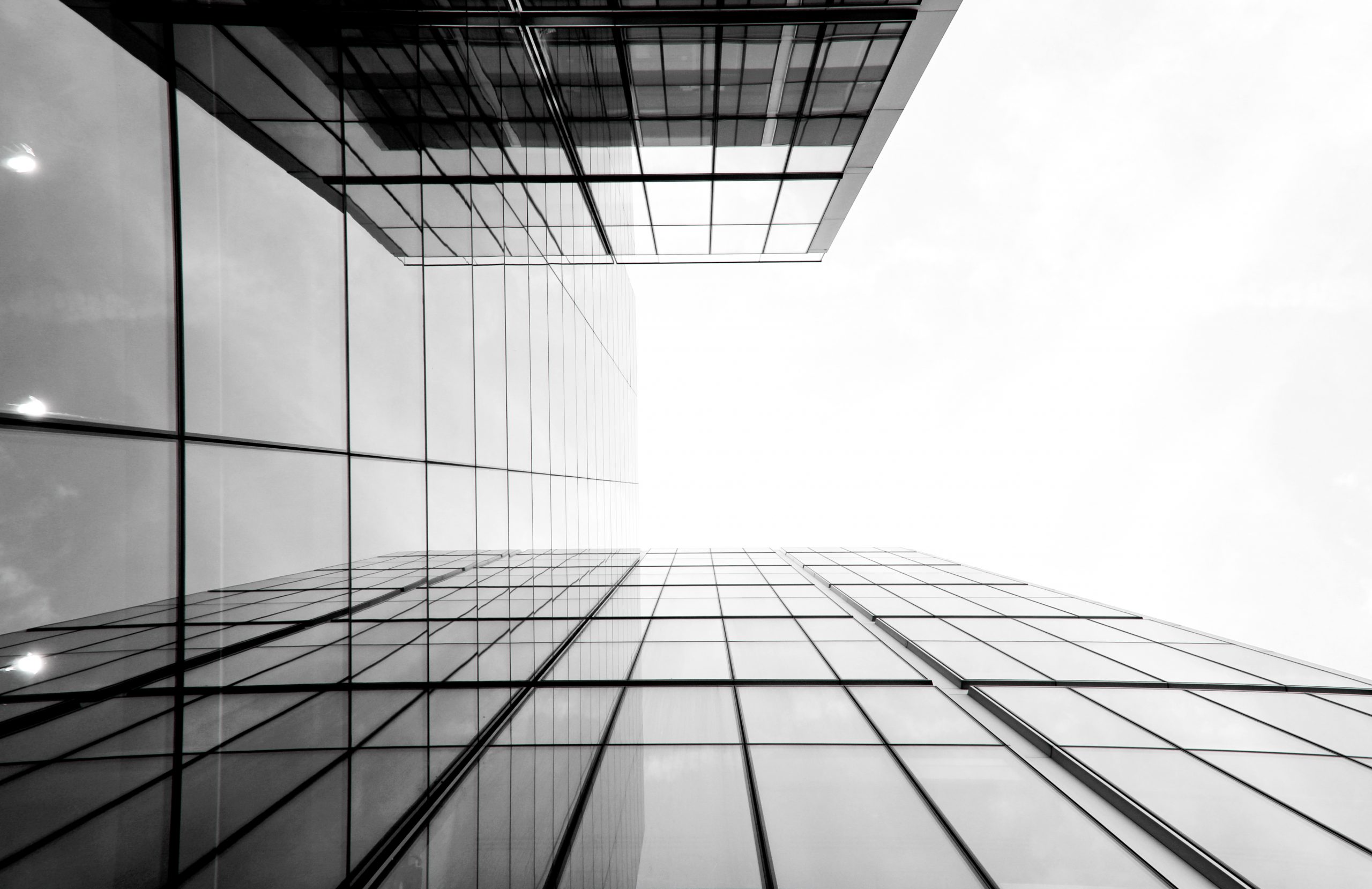 New Ireland Branch Council Member from Equitix